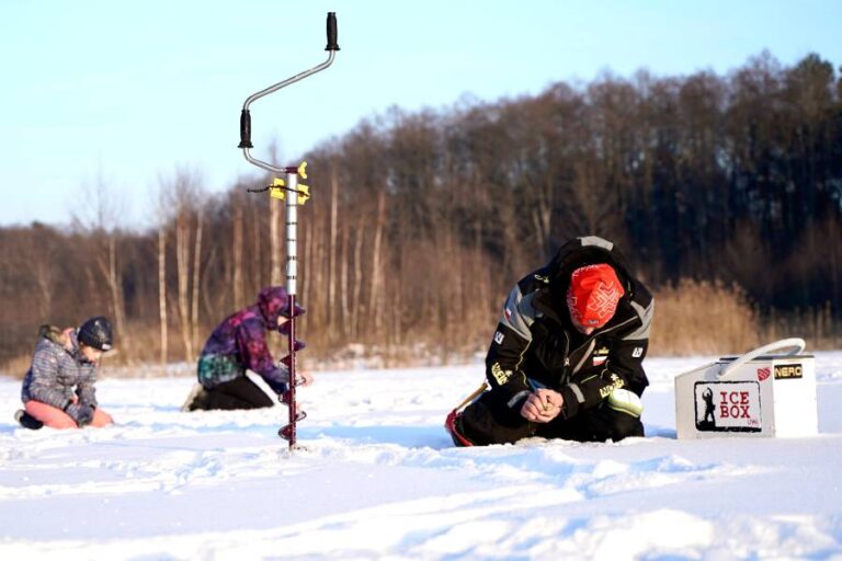 Liwi - Strona główna